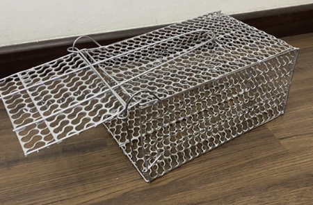 Mouse Trap Cage – Pest Solver